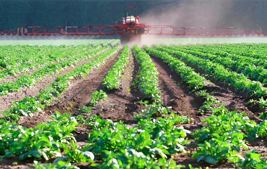 Auchtel - Your Partner in Success